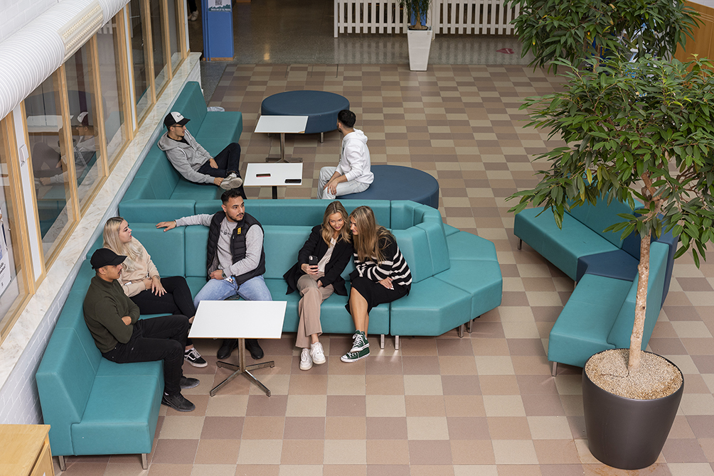 Gymnasieskolan Knut Hahn - Skånegy